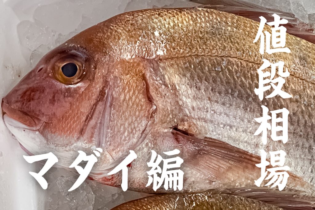 真鯛（マダイ）の値段相場・仕入れ価格はどのくらい？金額公開してます！｜魚問屋の公式ブログ｜鮮魚をスマホでカンタン発注！